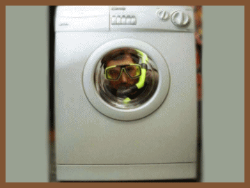 Shabahang_Gifs_Washing_Machine_تصاویر_متحرک_شباهنگ_ماشین لباسشویی gif