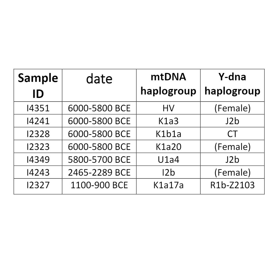 Components/Autosomal dna % of Iran_Chalcolithic and Hajji_Firuz samples ...